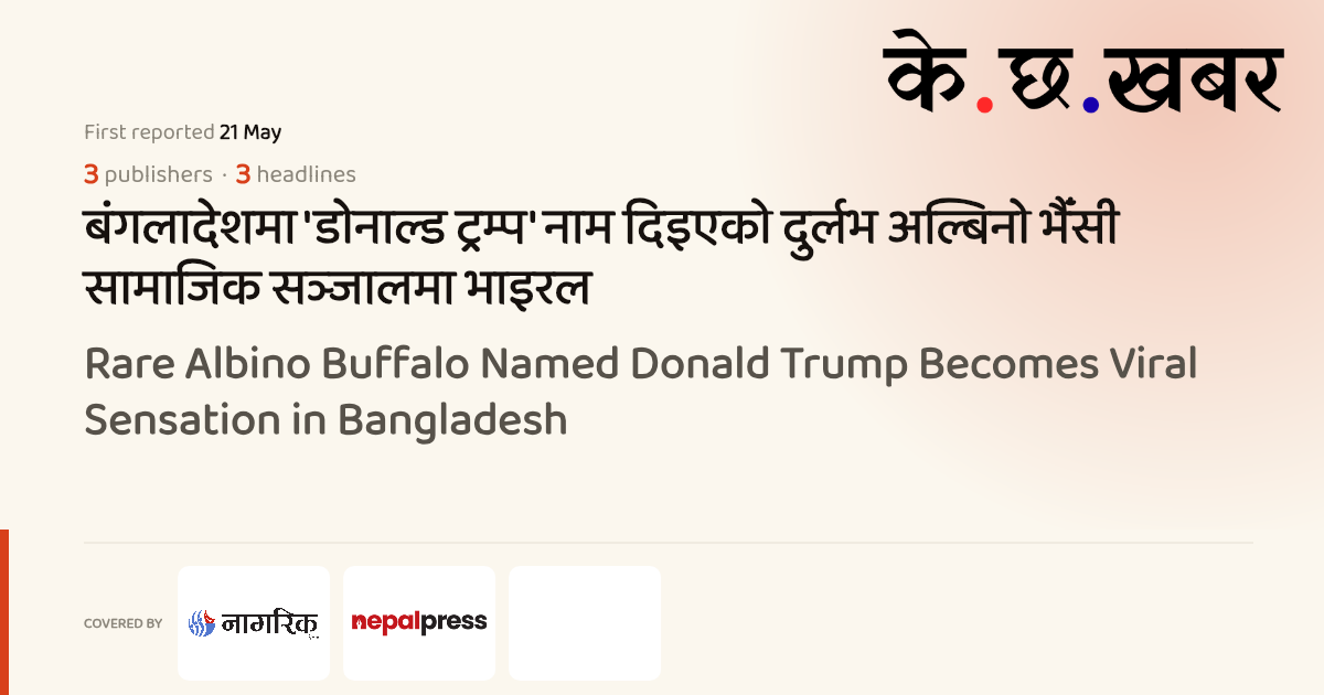 Rare Albino Buffalo Named Donald Trump Becomes Viral Sensation in ...